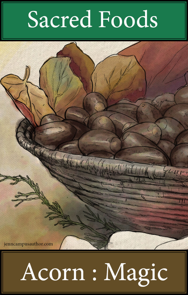 Sacred Foods - Acorn: Magic : Jenn Campus Author