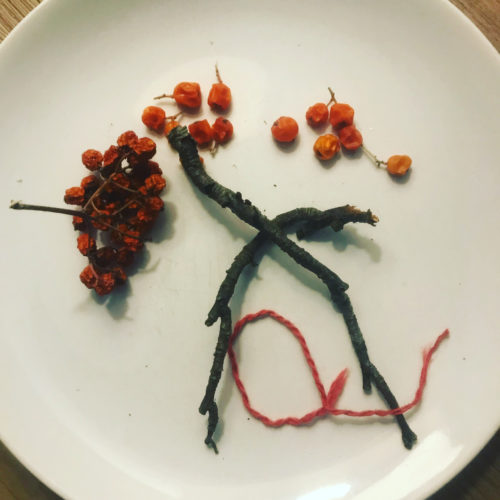 Rowan: The Sacred Witch Tree : Jenn Campus Author