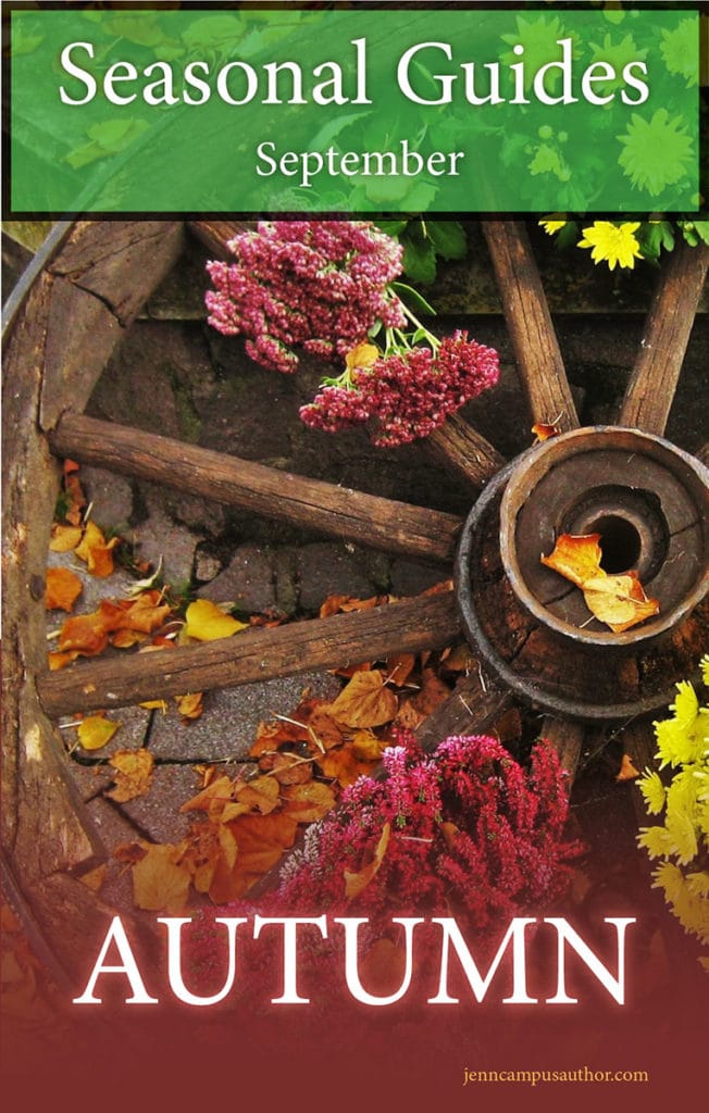 Seasonal Guide for September - Autumn : Jenn Campus Author