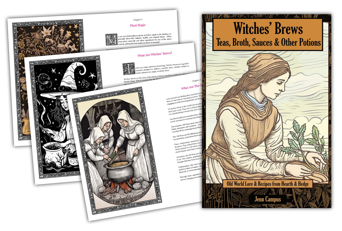 Rowan: The Sacred Witch Tree : Jenn Campus Author